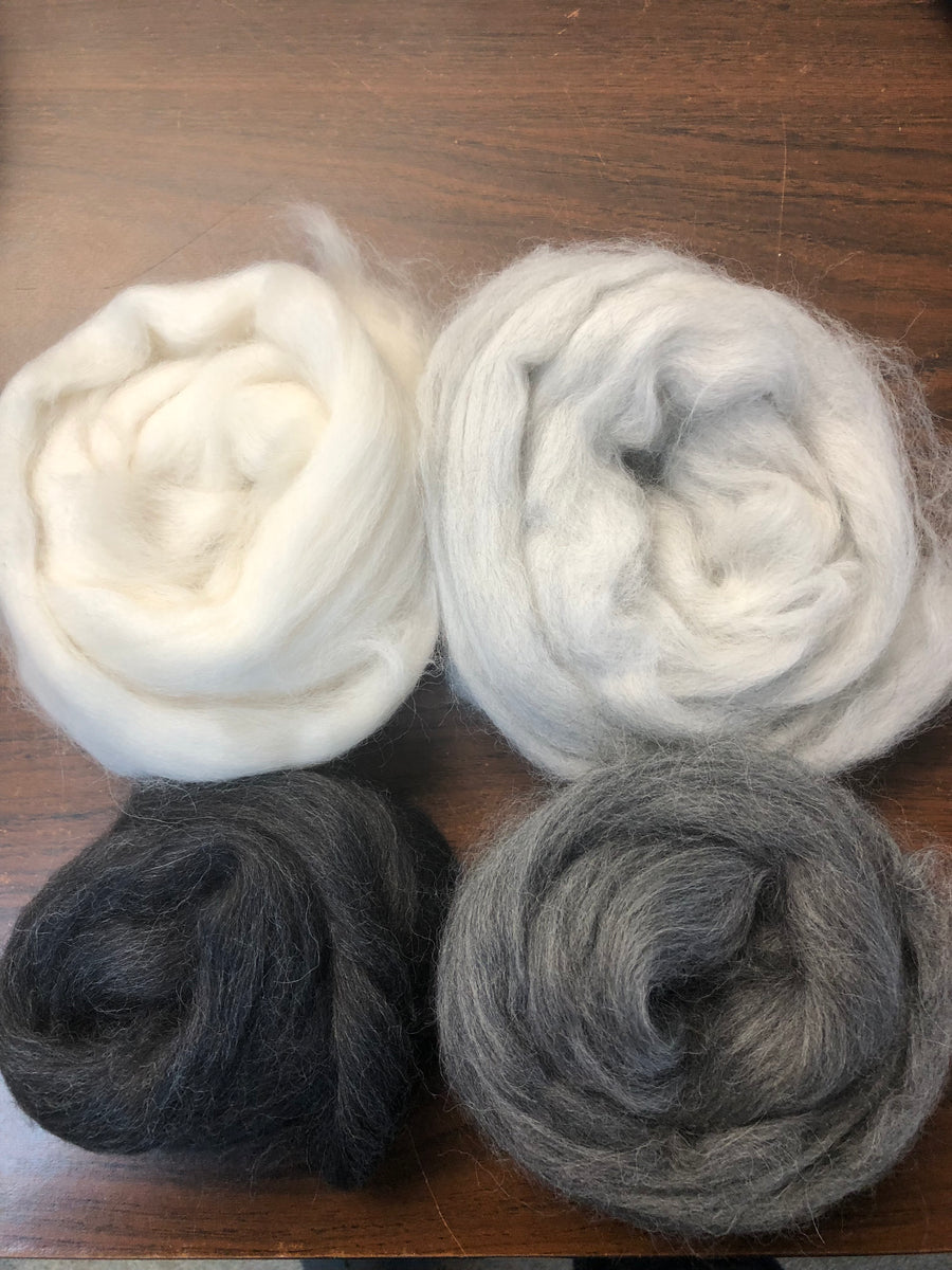 Grey Ombre Alpaca Roving | Silver Grey Alpaca Roving | Whirlwind Ranch